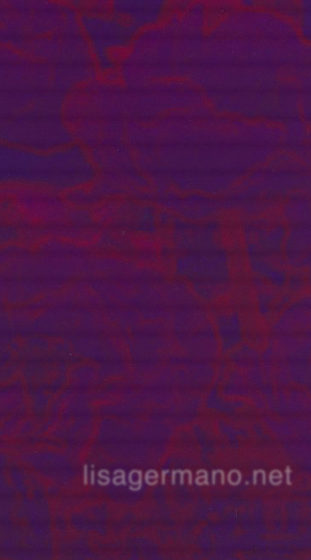 Slush | LisaGermano.net