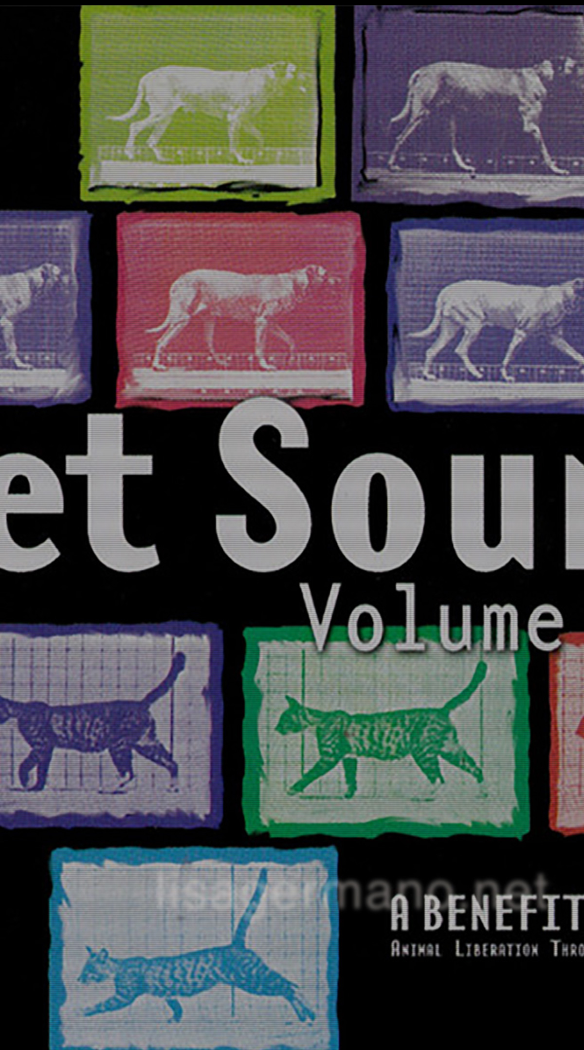 Pet Sounds Volume One: A Benefit for ALTER | LisaGermano.net